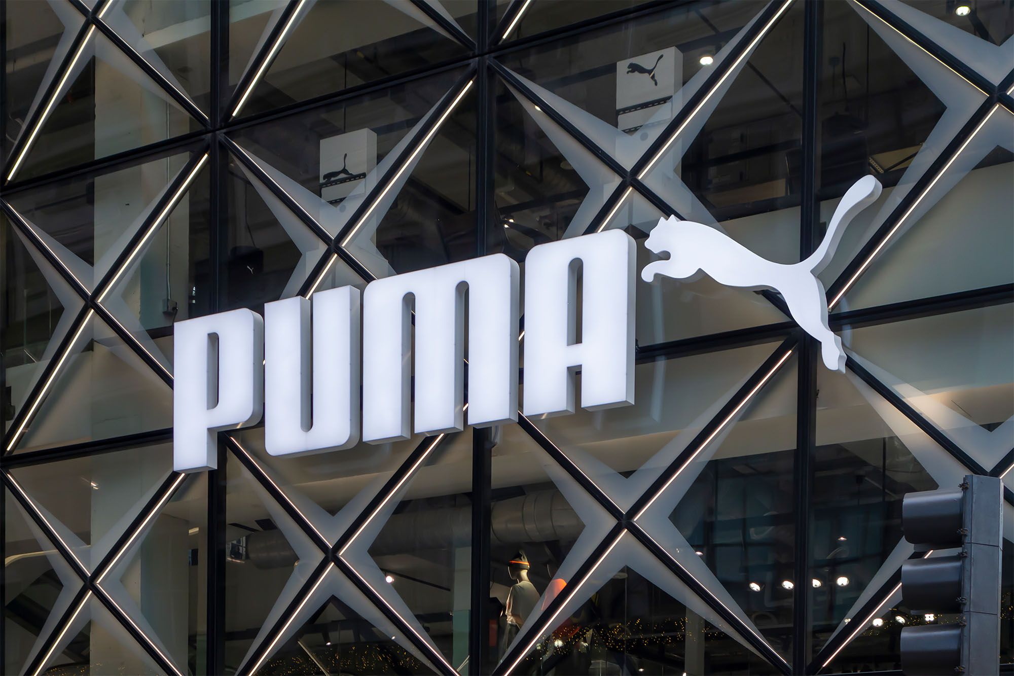 Puma Logo: From Rivalry to Global Recognition - Rabbit Logo
